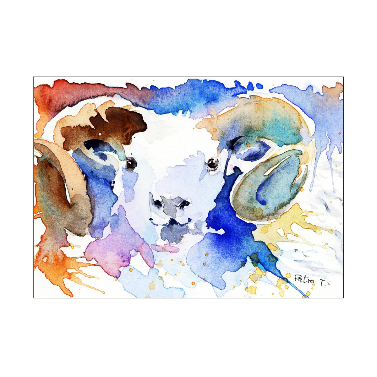 Sheep eye contact | Postcard – IcelandicCraftAndDesign